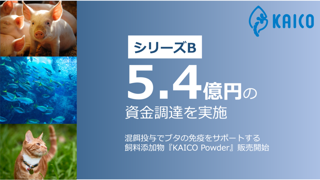 シリーズBラウンドとして5.4億円の資金調達を実施 | KAICO株式会社